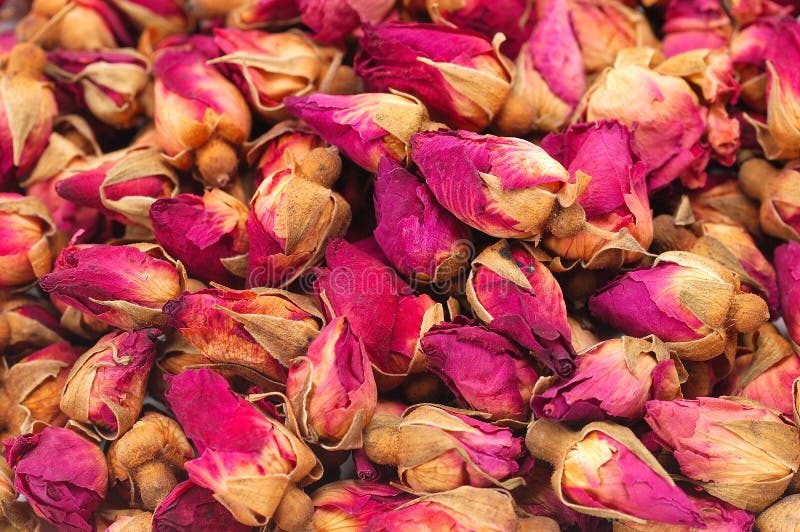 Dried roses stock image. Image of white, bright, flowers - 7404373