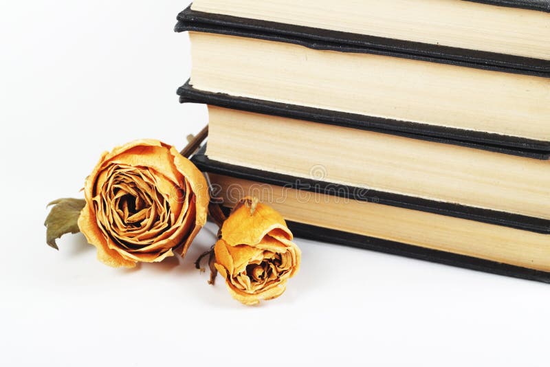 Dried Roses and Old Books on Isolated Background Stock Image - Image of ...