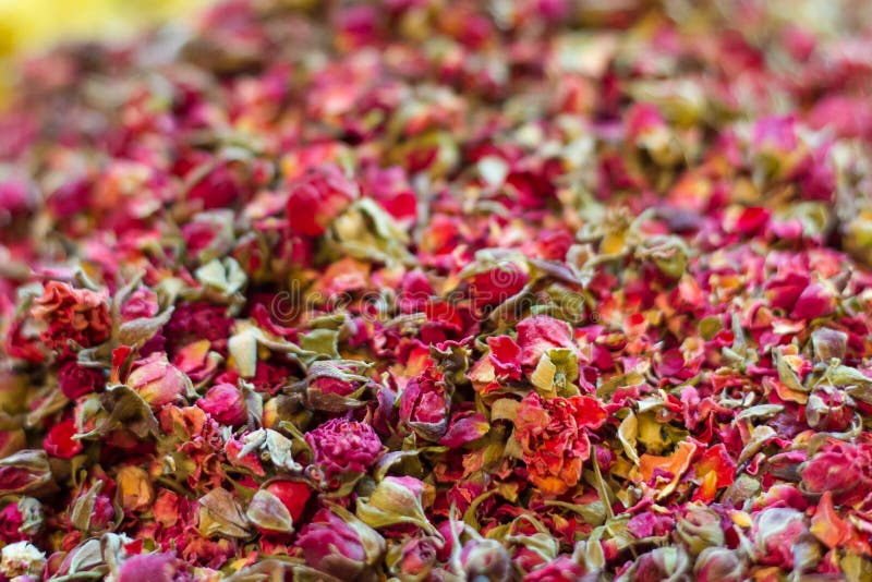 Dried Roses stock image. Image of eminonu, store, flower - 37759867