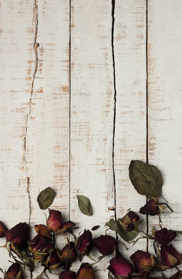 Dried Roses White Parquet Planks Stock Photos - Free & Royalty-Free ...
