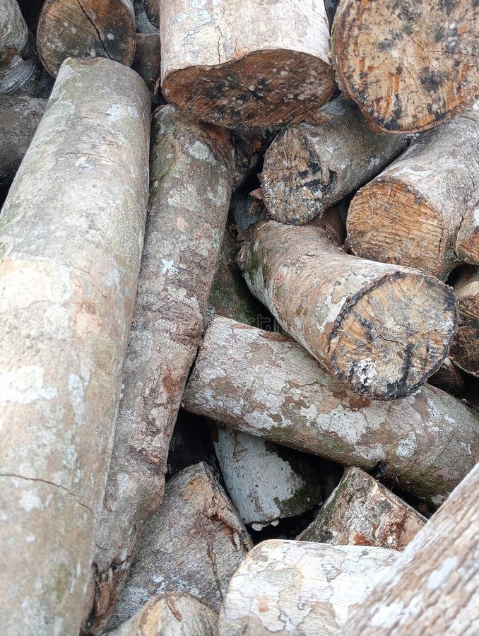 Dried Rubber Tree Pieces Stock Photos - Free & Royalty-Free Stock ...