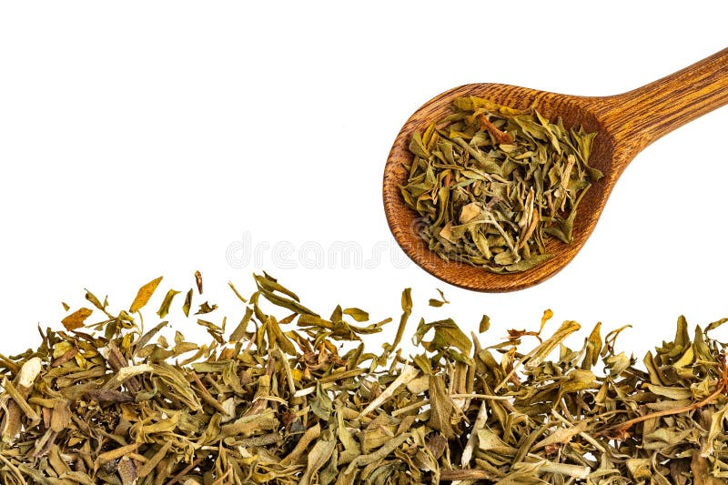 Dried Rue Leaves in the Spoon - Ruta Graveolens Stock Image - Image of ...