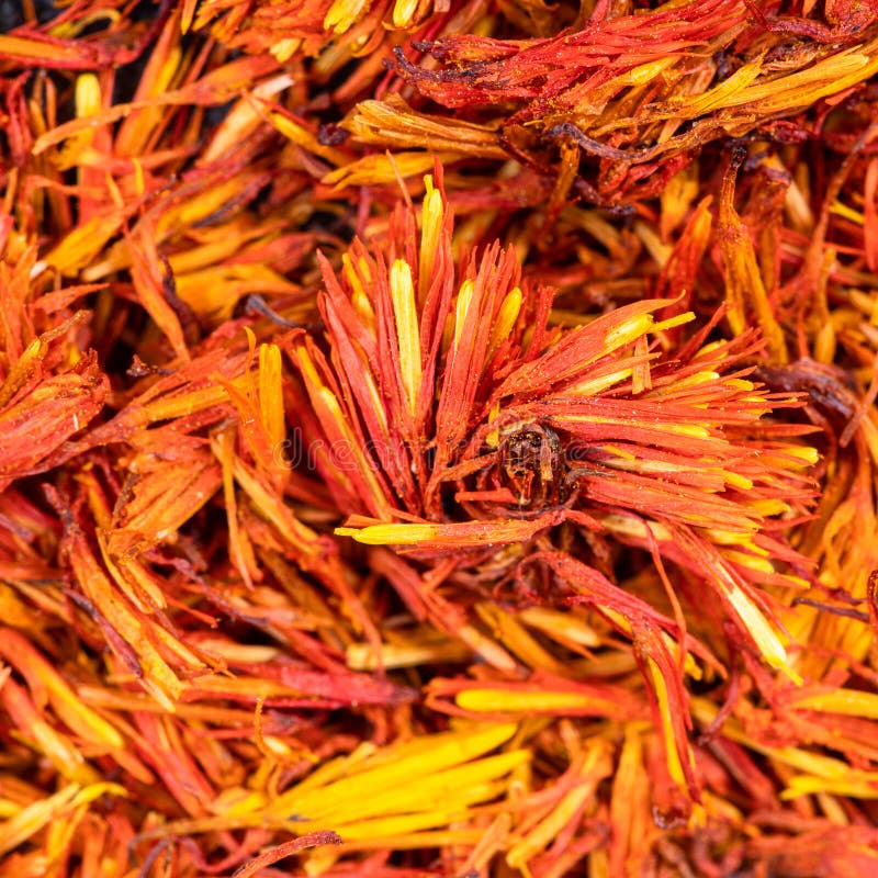 Dried Safflower Blooms Close Up Stock Photo - Image of colouring, agent ...