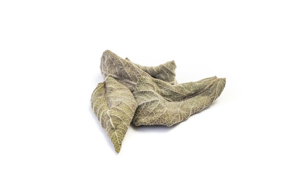 Dried Sage Leaves Stack Isolated on White, Close Up Texture Stock Image ...