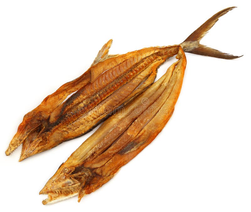 Dried salmon fish stock image. Image of stockfish, gourmet - 62102947