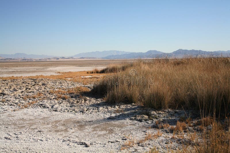 Dried salt mud flats stock image. Image of salt, like - 40683447