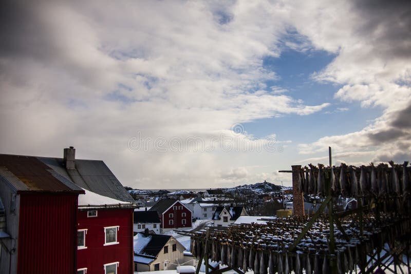 Salted cod of Lofoten stock image. Image of enlighted - 15441537