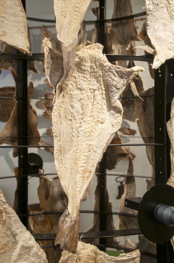 Fillet of Dried Cod on Display Stock Photo - Image of seafood, brown ...