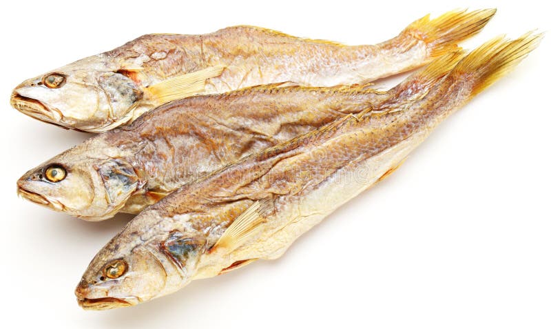 Dried salted fish stock photo. Image of closeup, herring - 27279552