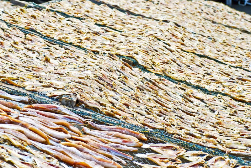 Dried Salted Fish Series 1 Picture. Image: 9355433