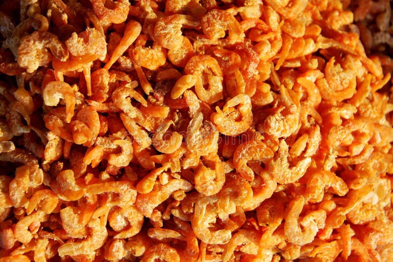 Dried salted prawn stock photo. Image of crustacean, orange - 23221346