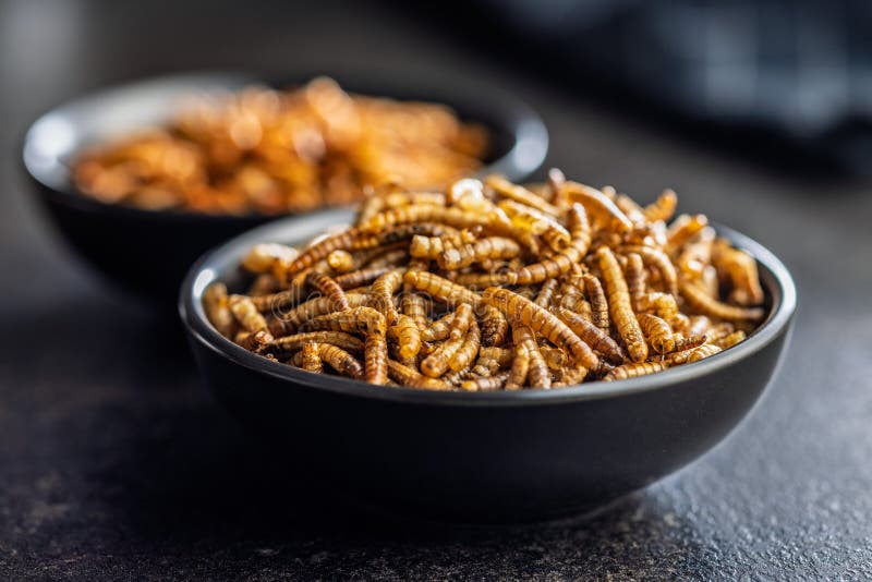 Dried Salted Worms. Roasted Mealworms in Bowl on Black Table Stock ...