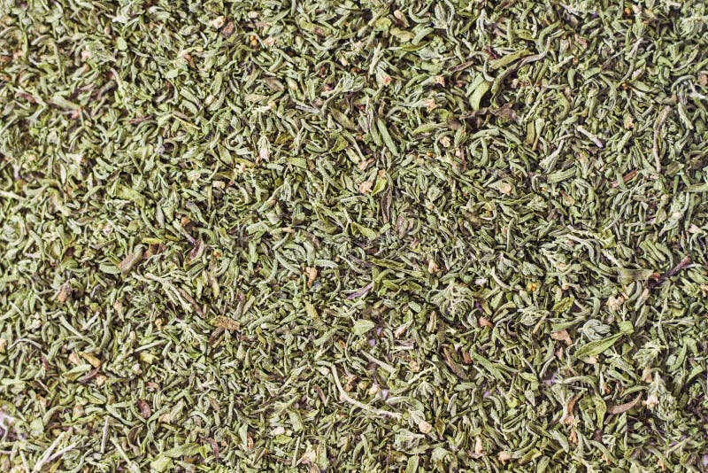 Dried savory stock image. Image of health, condiment - 88499505
