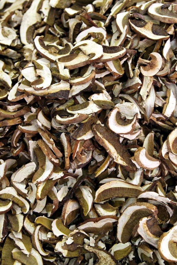 Dried scliced shiitake stock image. Image of edible, fungi - 23915805
