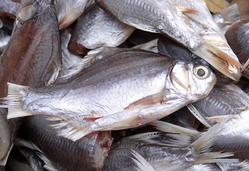 Dried sea fishes stock photo. Image of fishing, nature - 26454966