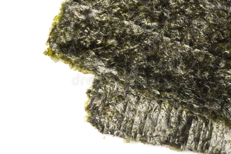 Dried Seaweed Sheets - Edge Stock Image - Image of paper, seaweed: 93909593