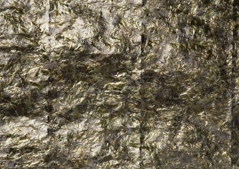 Dried Seaweed Sheets Texture Stock Photo - Image of nori, paper: 93909646