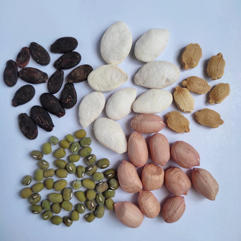 Dried Seed Mix Harvested in Summer Stock Photo - Image of dried ...