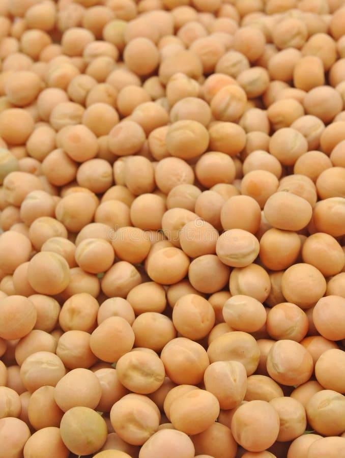 Dried seeds of sweet pea stock image. Image of eatable - 35622719