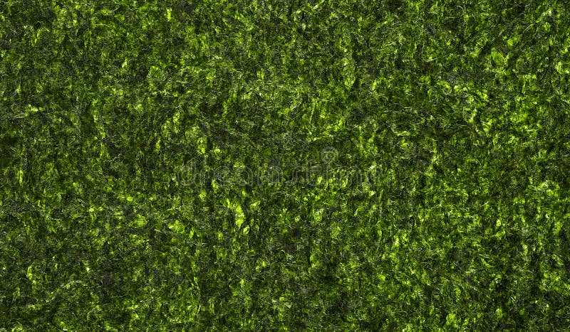 Dried Sheet Seaweed Texture As Background, Top View. Crispy Laver Nori Pattern Stock Photo ...