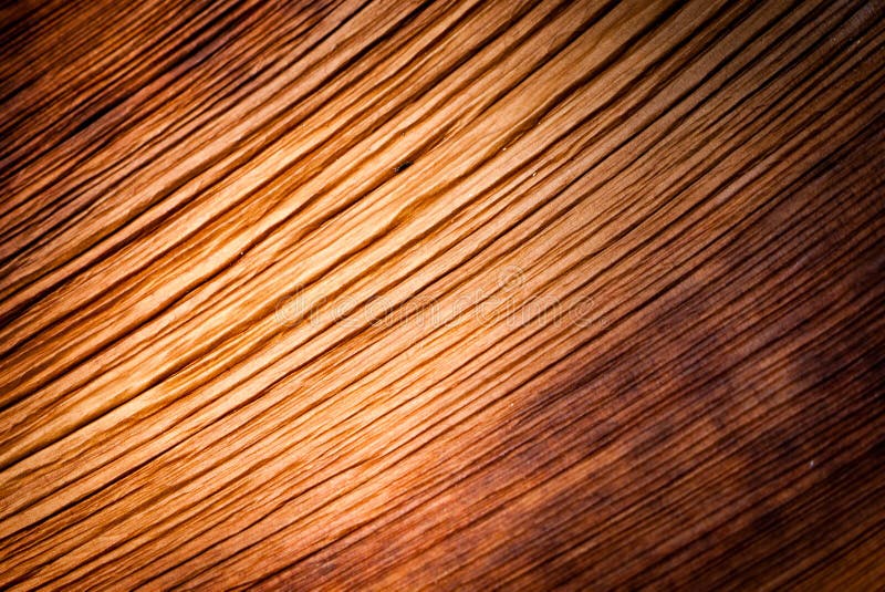 Dried Shell of Bamboo Shoots Stock Image - Image of fall, skin: 26077223