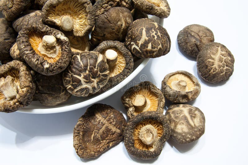 Dried Shiitake stock photo. Image of food, mushrooms - 61414724