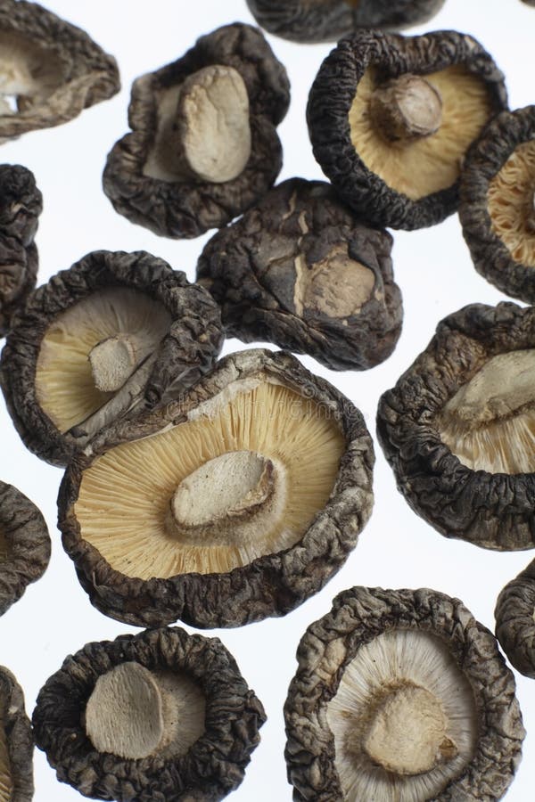 Shiitake Mushrooms with a Soft and Chewy Texture Stock Image - Image of ...