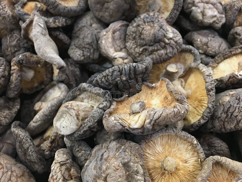 Dried shitake mushroom stock image. Image of chinese - 81307407