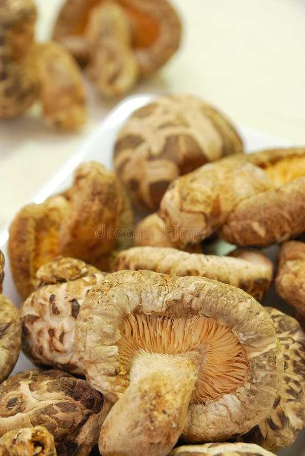 Dried Shitake Mushrooms As Ingredients Stock Image - Image of japanese ...