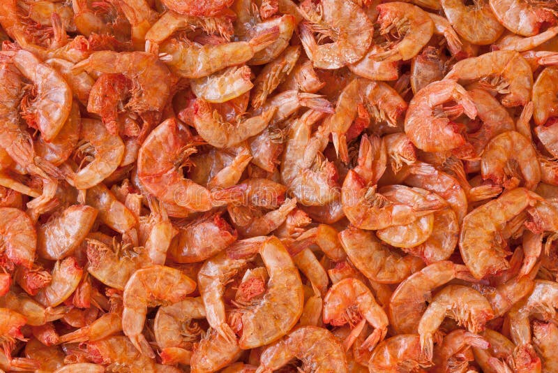 Dried Red Shrimp stock image. Image of dried, ingredient - 20573445