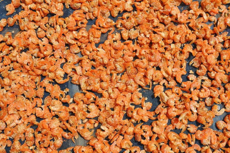 Dried shrimp stock image. Image of ethnic, grocery, diner - 25785631