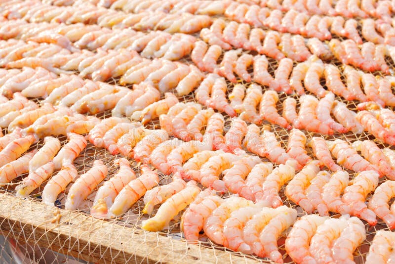 Dried Shrimp stock image. Image of dried, sunshine, market - 31299593