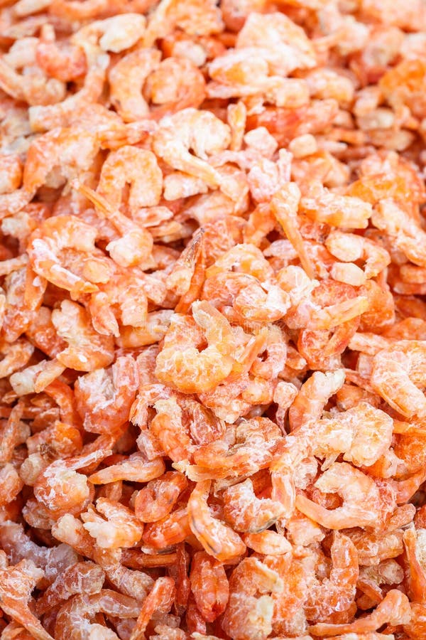 Dried shrimp stock image. Image of fish, spices, traditional - 50376171