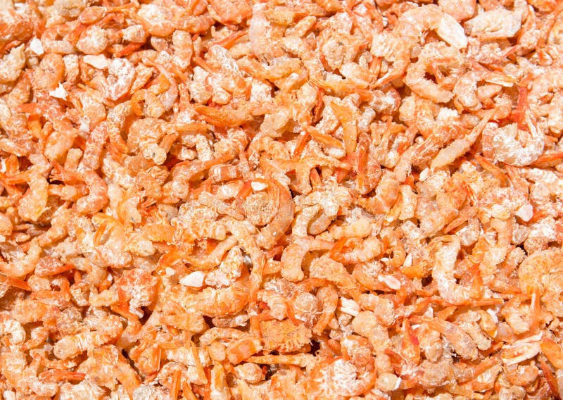 Dried shrimp stock image. Image of texture, dried, closeup - 43627179