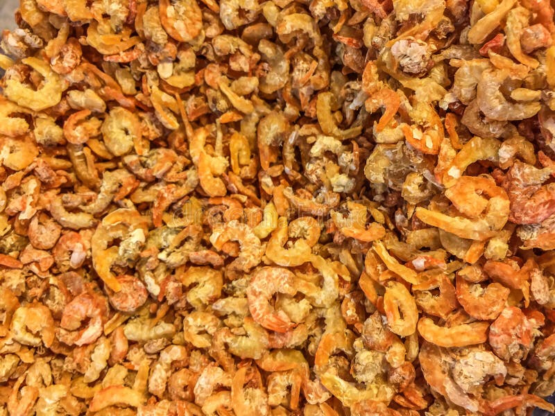 Dried shrimp stock photo. Image of shrimps, asian, seafood - 74203564