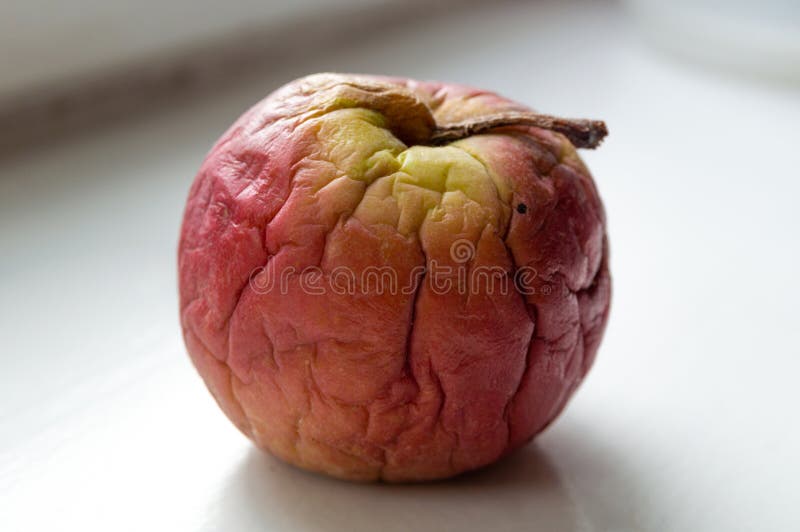 Withered Fruit