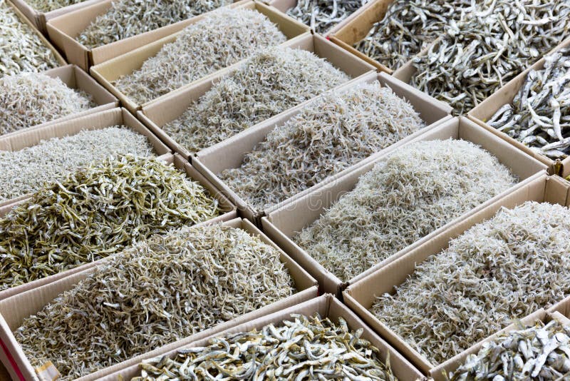 Dried small anchovy fish stock photo. Image of whitebait - 35584662