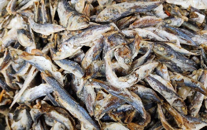 Dried small fish stock photo. Image of seafood, preservation - 215393554
