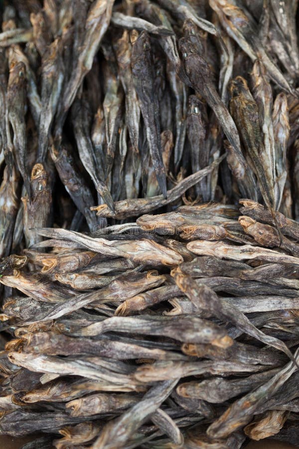 Philippine Dried Fish Stock Photos - Free & Royalty-Free Stock Photos ...