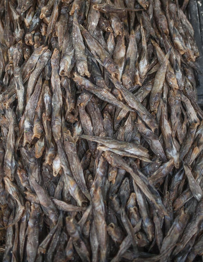 Philippine Dried Fish Stock Photos - Free & Royalty-Free Stock Photos ...
