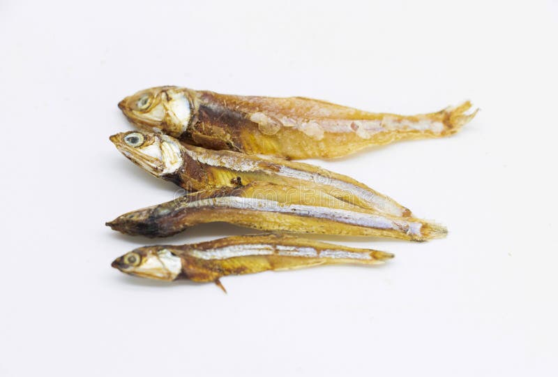 Dried Small Fish or Salted Anchovy Fishes Isolate on White Background ...