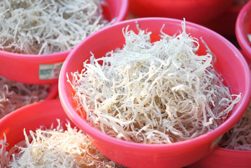 Dried small fish stock image. Image of produce, kong - 30117055