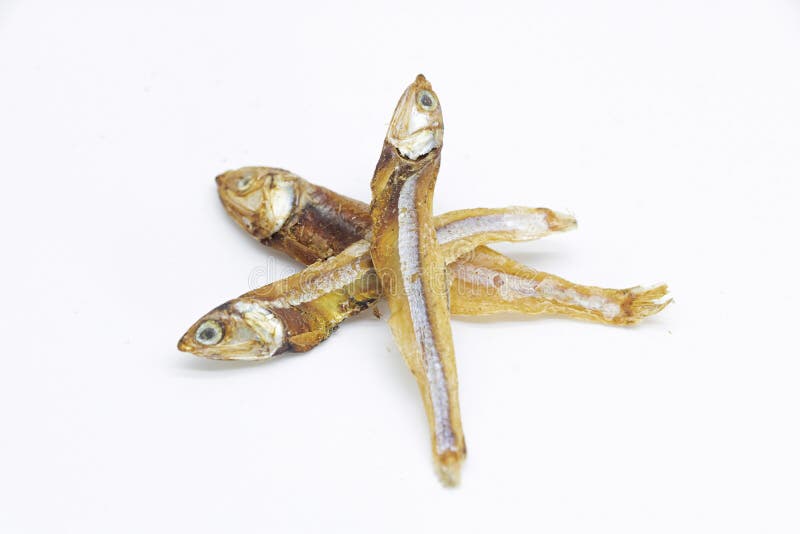 Dried Small Fish or Salted Anchovy Fishes Isolate on White Background ...