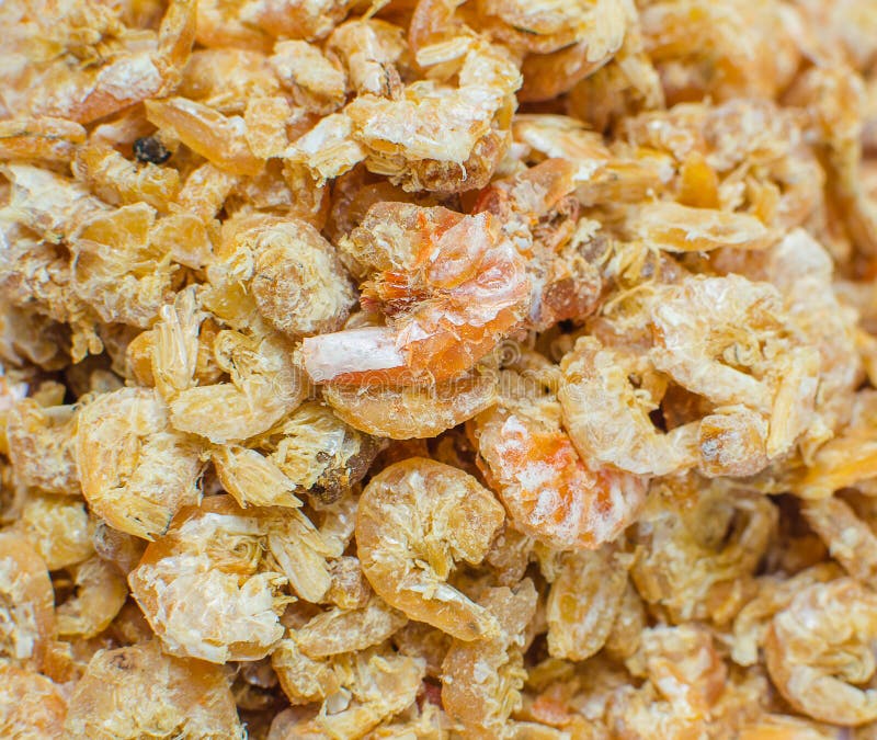 Dried small shrimp stock image. Image of dried, asia - 27530029