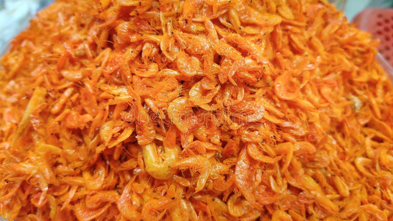 Dried small shrimp stock photo. Image of food, shrimp - 215393560