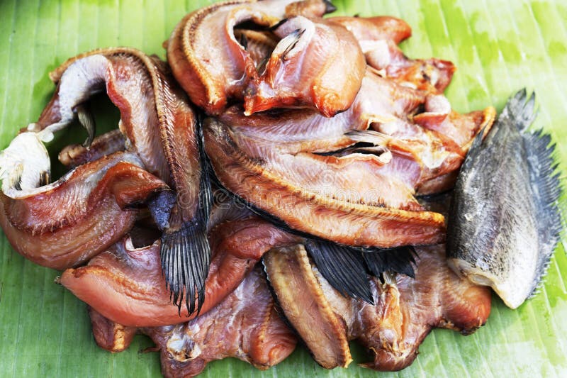 Dried Snake Head Fish at Fish Market in Thailand Stock Image - Image of ...