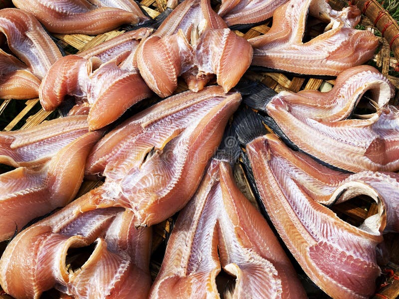 Dried Snakehead Fish on Bamboo Basket in Air Sun for Dried Stock Photo ...