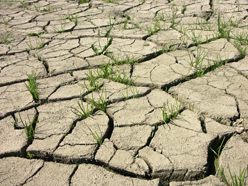 Dried soil stock image. Image of dead, weathered, soil - 2306143