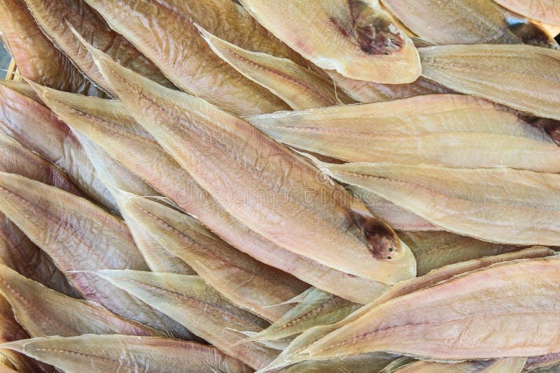 Dried sole fish stock image. Image of organic, edible - 40823151