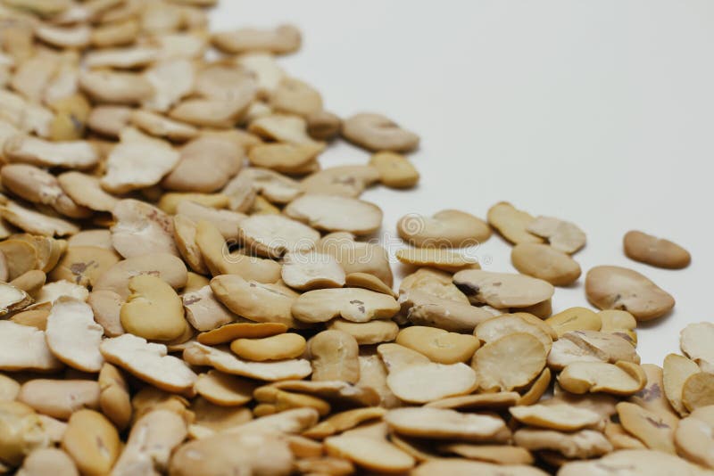 Dried Split Broad Beans Pattern Texture. Stock Image - Image of frame ...